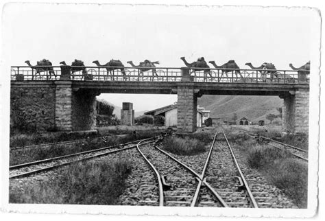 Fondo Rolando Ronchetti Ao Memorie Coloniali