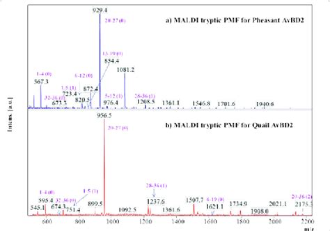 Maldi Trypticpeptide Mass Fingerprint Pmf Of Reduced Alkylated R A