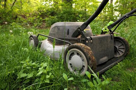 Premium Photo Low Angle Close Up Lawnmower Cutting Long Grass Or