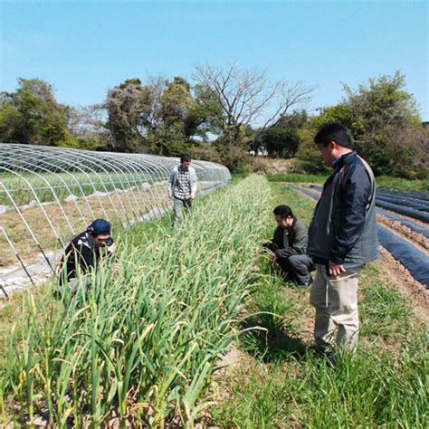 有機米有機農産物那須自然農園 農園写真
