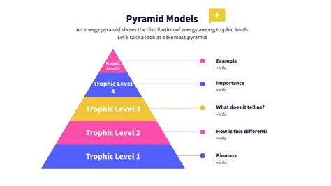 Pyramid Models