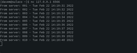 How To Read Data From A Socket In Bash On Linux