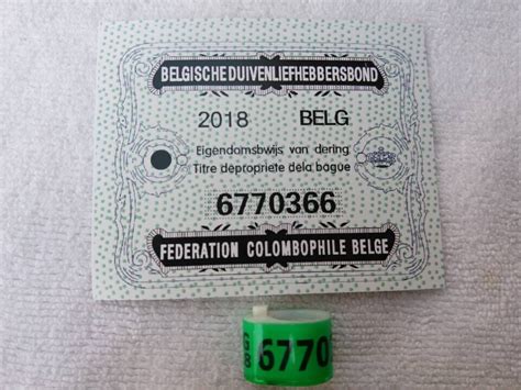 2012年荷兰原环图片 荷兰图片 大山谷图库