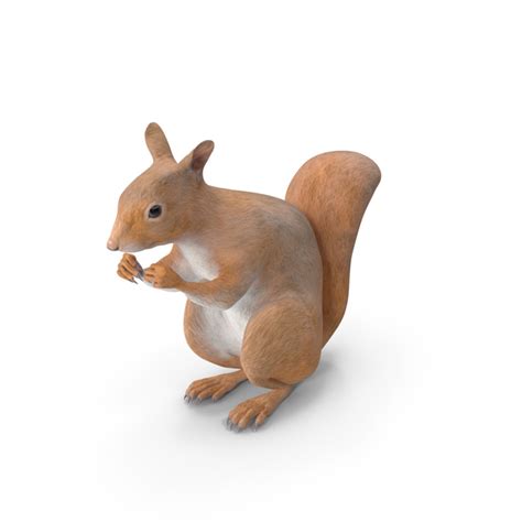 Squirrel Girl Rule34 Png Images And Psds For Download Pixelsquid