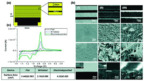 Bacterial Lysis Device A Schematic Of The Lysis Device B Scanning