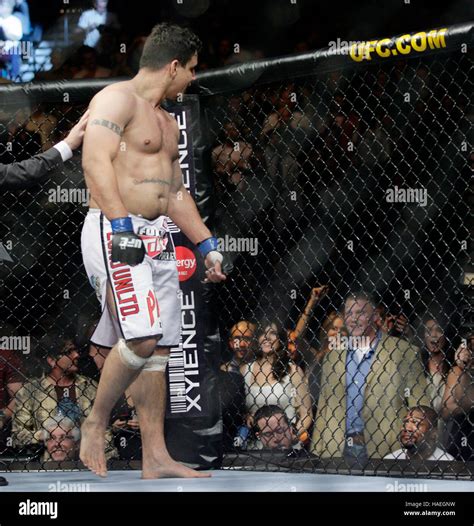 Ufc Lesnar Vs Mir