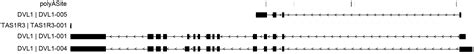 Command Line Usage Trackplot