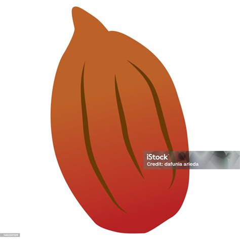 Illustration Of A Simple Cocoa Bean Stock Illustration Download Image Now Bean Berry Brown