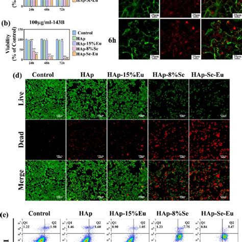 A The Cell Viability Of Samples Co Cultured With Mbmscs For 24 H 48