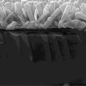 A Top View B The Cross Sectional FESEM Images Of The ZnO NW Arrays