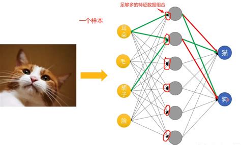 机器学习四大基本模型回归分类聚类降维 机器学习模型 CSDN博客