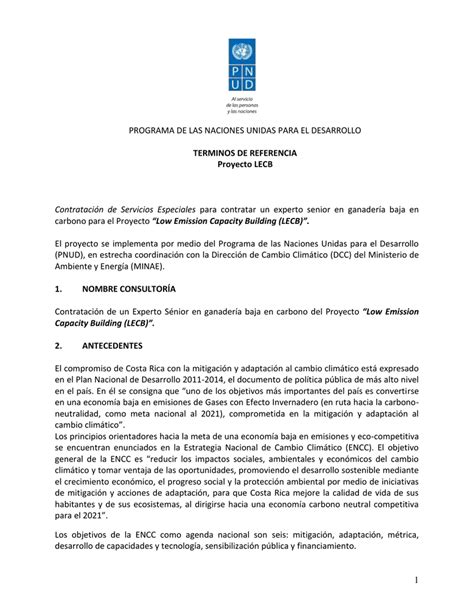 PROGRAMA DE LAS NACIONES UNIDAS PARA EL DESARROLLO