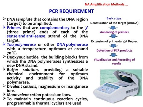 Rapid Pathogen Detection Methods Ppt