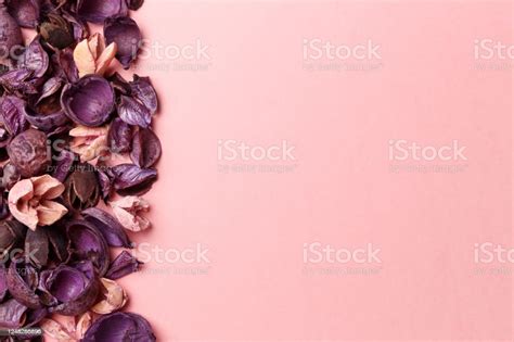 파스텔 핑크 배경에 보라색과 분홍색 건조 꽃 가지 잎과 꽃잎으로 만든 프레임 다채로운 배경 이미지 맨 위 보기입니다 플랫 레이 공간을 복사합니다 예술 개념 색상 트렌드