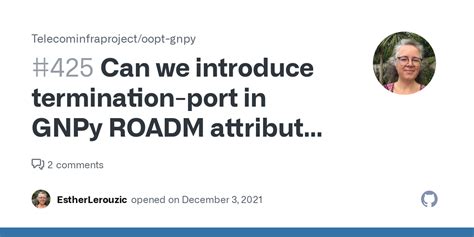 Can We Introduce Termination Port In GNPy ROADM Attributes Issue