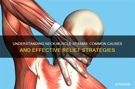 Understanding Neck Muscle Spasms Common Causes And Effective Relief