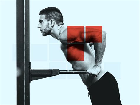 Bodyweight Circuit Build Muscle Circuit Diagram