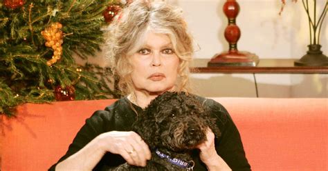 Biopic à La Con” Brigitte Bardot Dézingue La Série Sur Sa Vie Qui