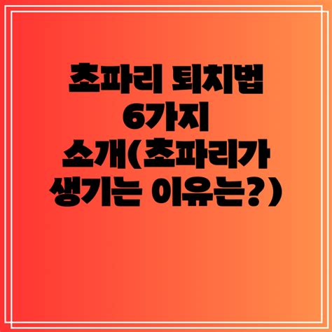 초파리 퇴치법 6가지 소개 초파리가 생기는 이유는 네이버 블로그