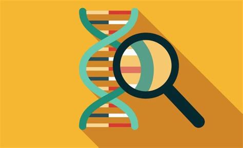 Dna Polymorphism And Fingerprinting Role In Forensics And Identification