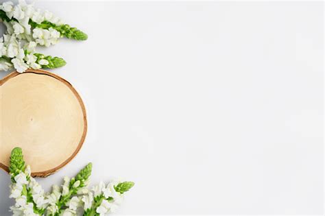 빈 나무 연단과 밝은 회색 배경 평면도에 흰색 꽃 신선한 자연 톱 컷과 화장품 광고를위한 녹색 가지 제품 프레젠테이션 모형 에코 개념입니다 복사 공간 0명에 대한 스톡 사진