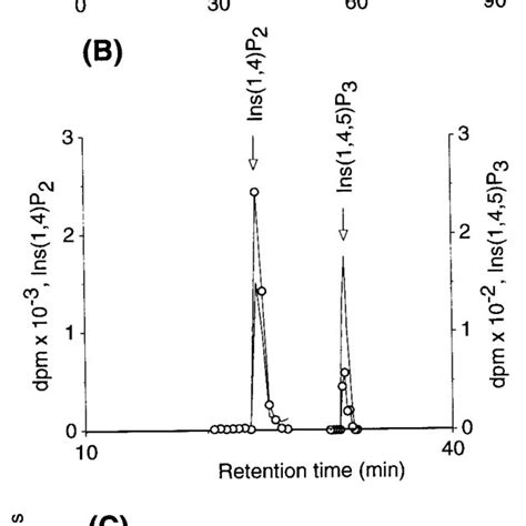 Activation Of Inositol Phosphate Metabolism In Guard Cells Inositol