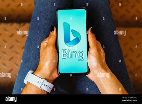 Bing Logo Vector