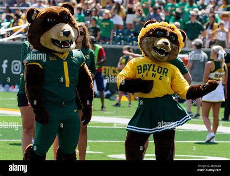September 7 2019 Baylor Bears Mascots Dance To A Song Before The Ncaa