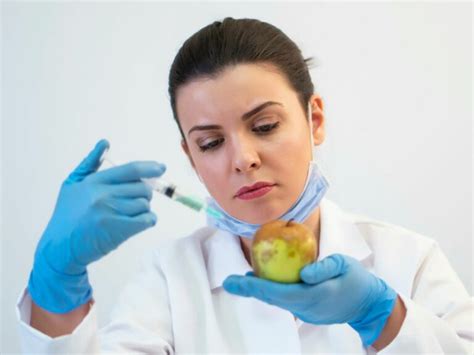 Are Genetically Modified Foods Good Are Genetically Modified Foods