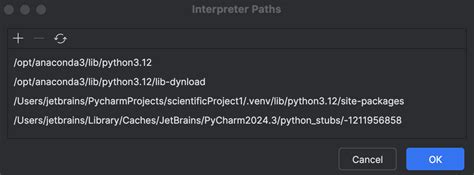 Manage Interpreter Paths PyCharm Documentation