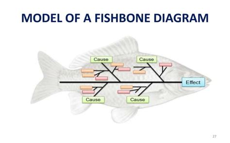 Fish Bone Diagram A Problem Solving Tool PPTX
