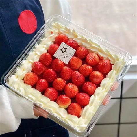 Large Disposable Plastic Food Containers With Lids Informacionpublica