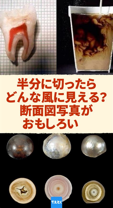 普段は見られない15の物の内側・裏側 どんより 写真 面白いビデオ