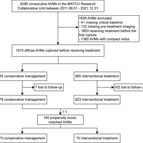 Flowchart Of Patient Selection Avm Arteriovenous Malformation Match Download Scientific