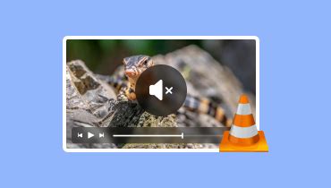 How To Setup Frame Skip In VLC Media Player Effectively