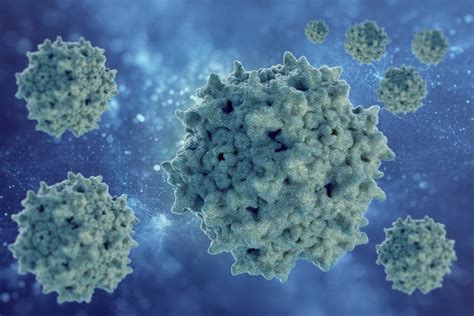 Hepatitis B Replication Persistent In Hiv Coinfection Treated With