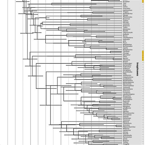 the modified time calibrated bayesian tree and a plot of four major