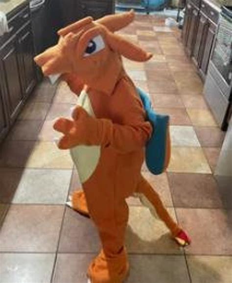 Pokemon Costume Charizard