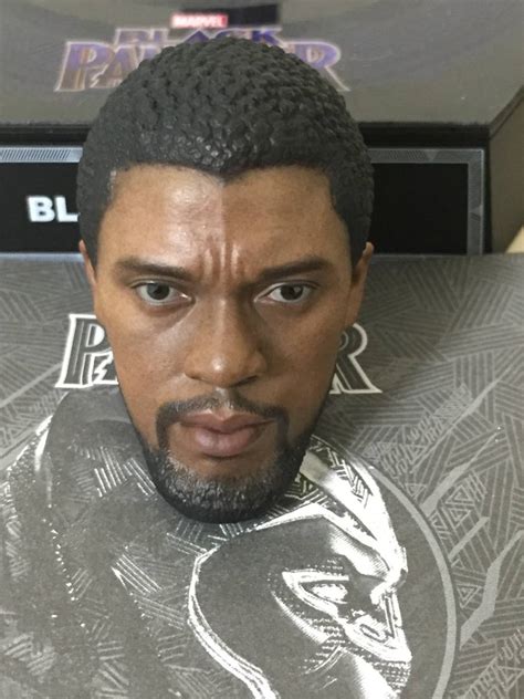 Hottoys ホットトイズ 16 ブラックパンサー フィギュア Mms470その他｜売買されたオークション情報、yahooの商品情報を