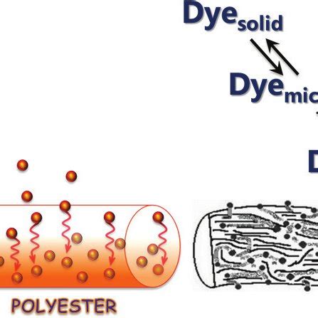 Mechanism For Dyeing Of Polyester With Disperse Dye And Dispersing Agents Download Scientific