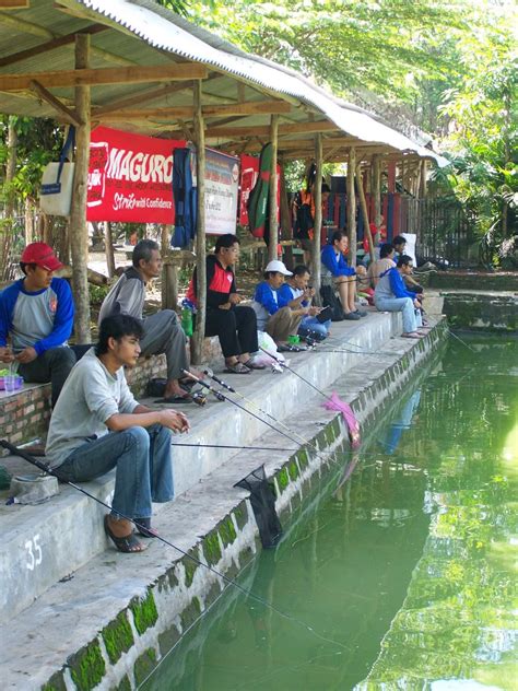 Umpan Buat Mancing Laut Dalam Hobi Mancing