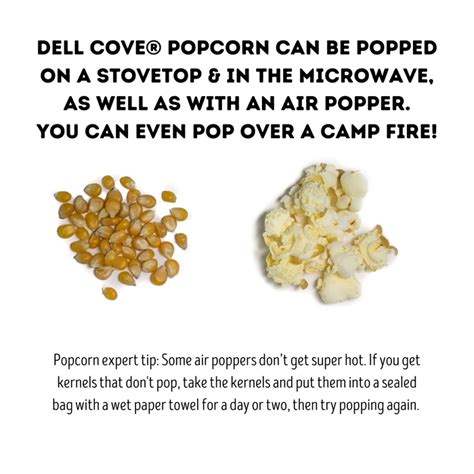 Popcorn Kernel