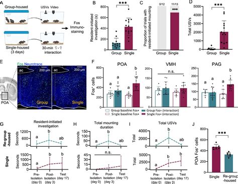 Figures And Data In Short Term Social Isolation Acts On Hypothalamic Neurons To Promote Social