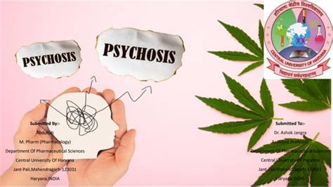 Antipsychotic Drugsclozapine And Chlorpromazinepsychosis Pdf