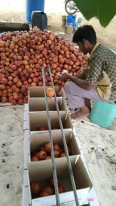 Natarajan Ramakrishnan On Linkedin Simple Automation 😁👍👍