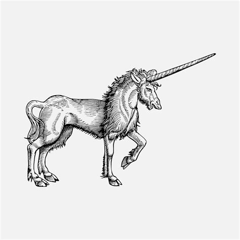 Unicorn Vector Tofujoe