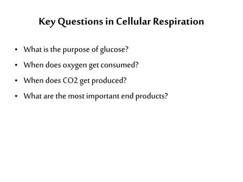 Ppt Cellular Respiration Ap Biology Powerpoint Presentation Free