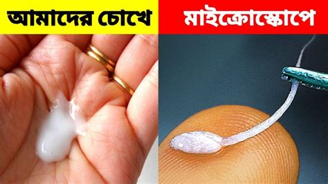 যা শুধুমাত্র Microscope এ দেখা যায়।।😳 5 Things You Can Only See Under