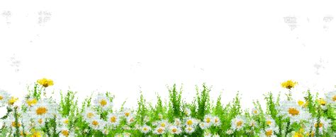Grass Glitter Animation Deco Grass Glitter Animation Deco Free