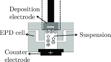 The Electrophoretic Deposition Epd Cell Download Scientific Diagram